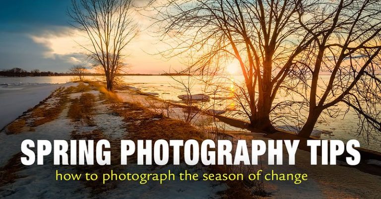 Top 8 Spring Landscape Photography Tips